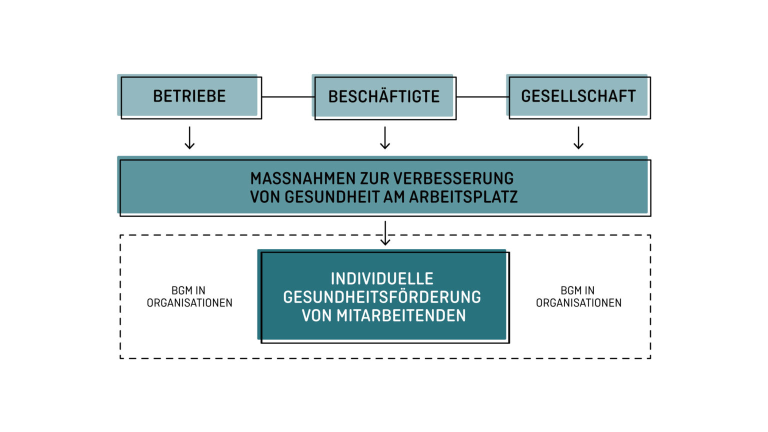 BGM versus BGF - Team Gesundheit
